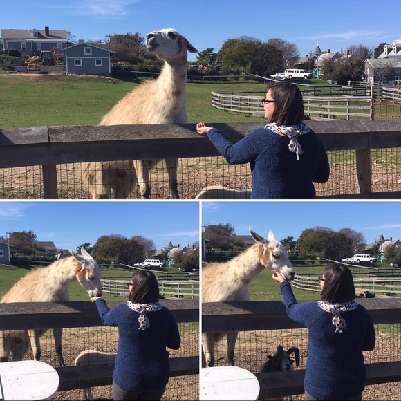 Other | Jenn In Real Life | Poshmark